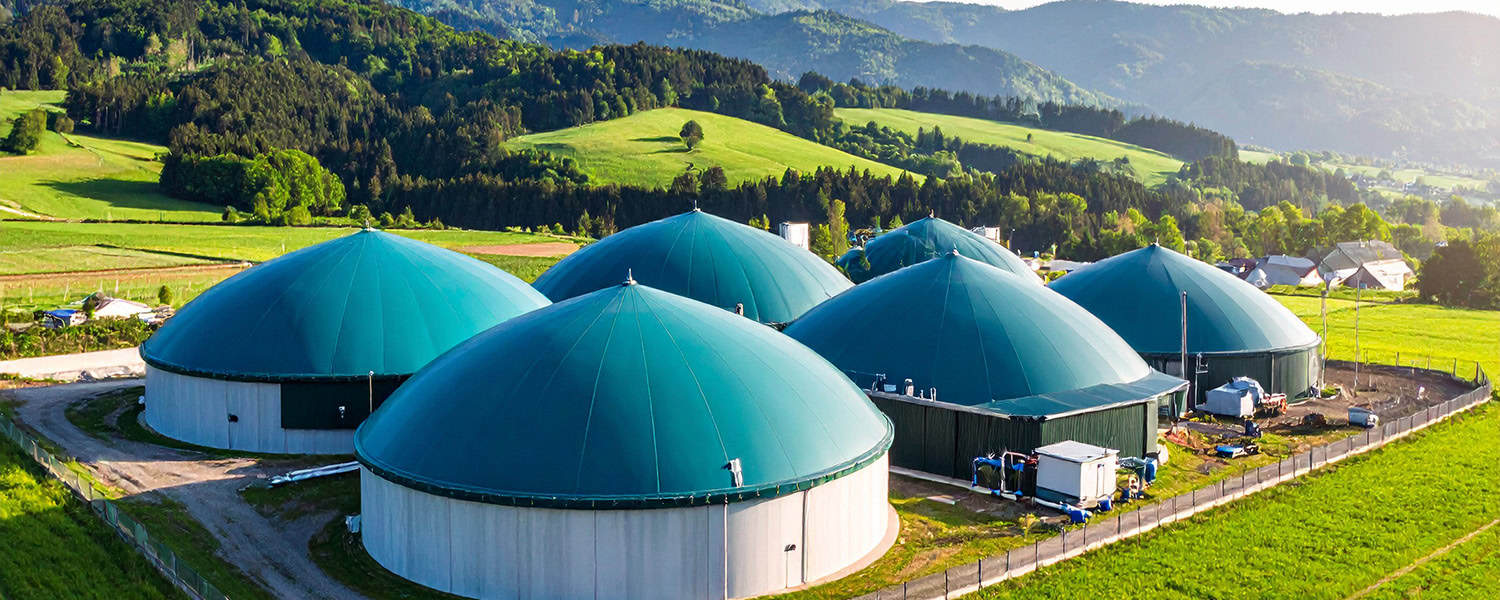 Renewable Natural Gas 101 - EUCI